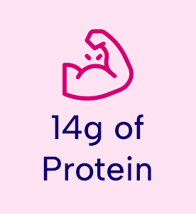 Variety Pack - High Protein, Low Sugar Protein Gummies – Protein Candy